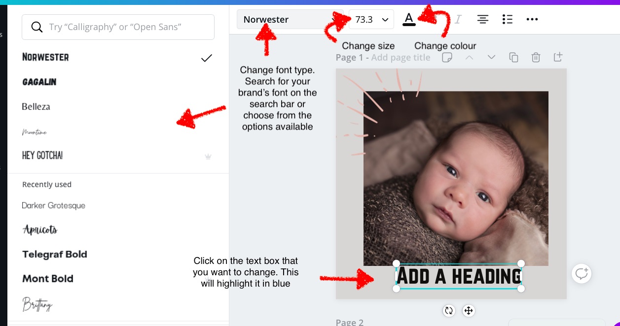 How to Use Canva Templates to Create Scroll Stopping Posts
